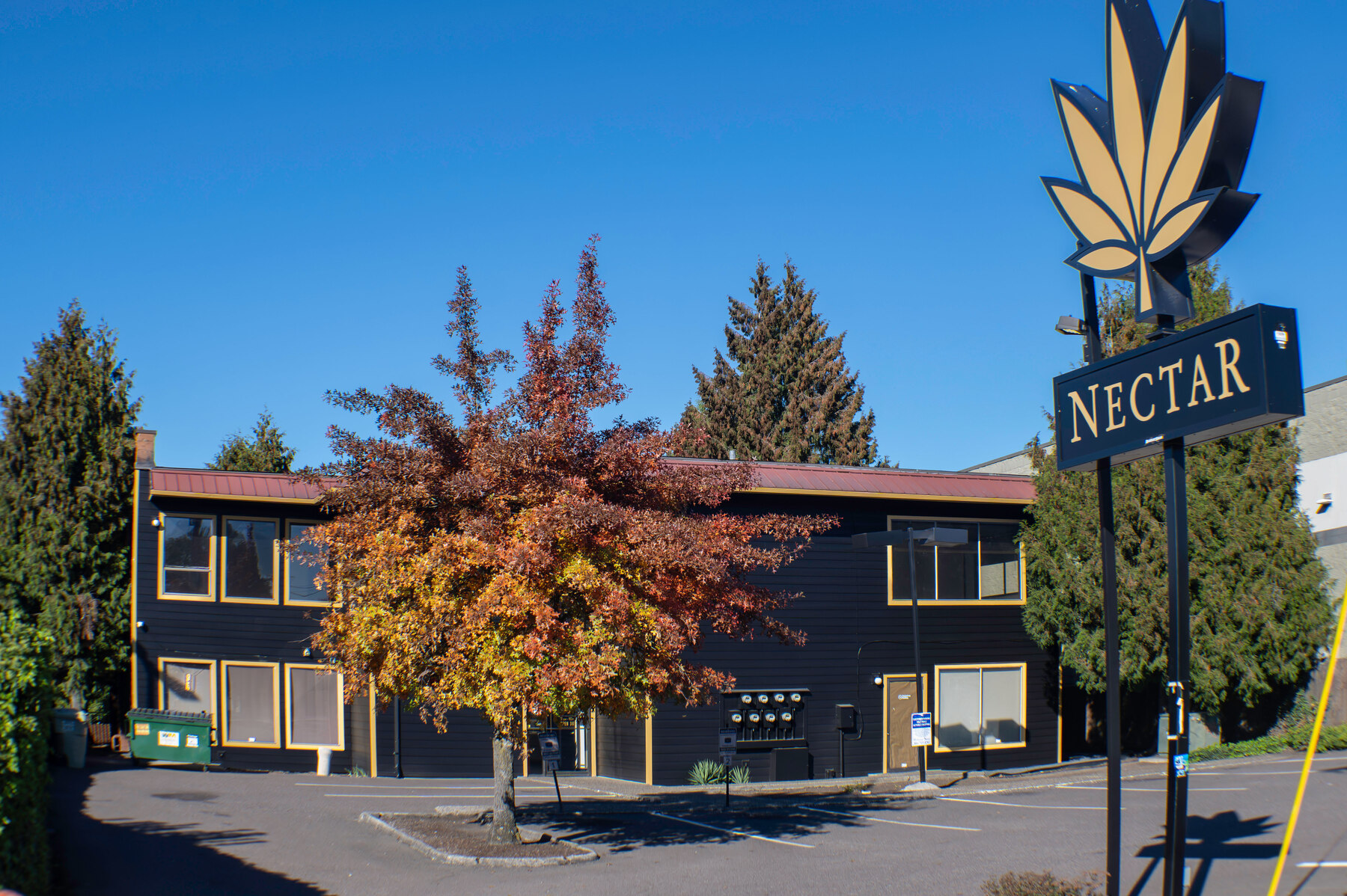Our Dispensary Locations | Nectar