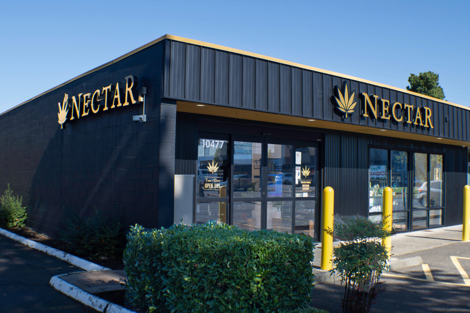 Our Dispensary Locations | Nectar