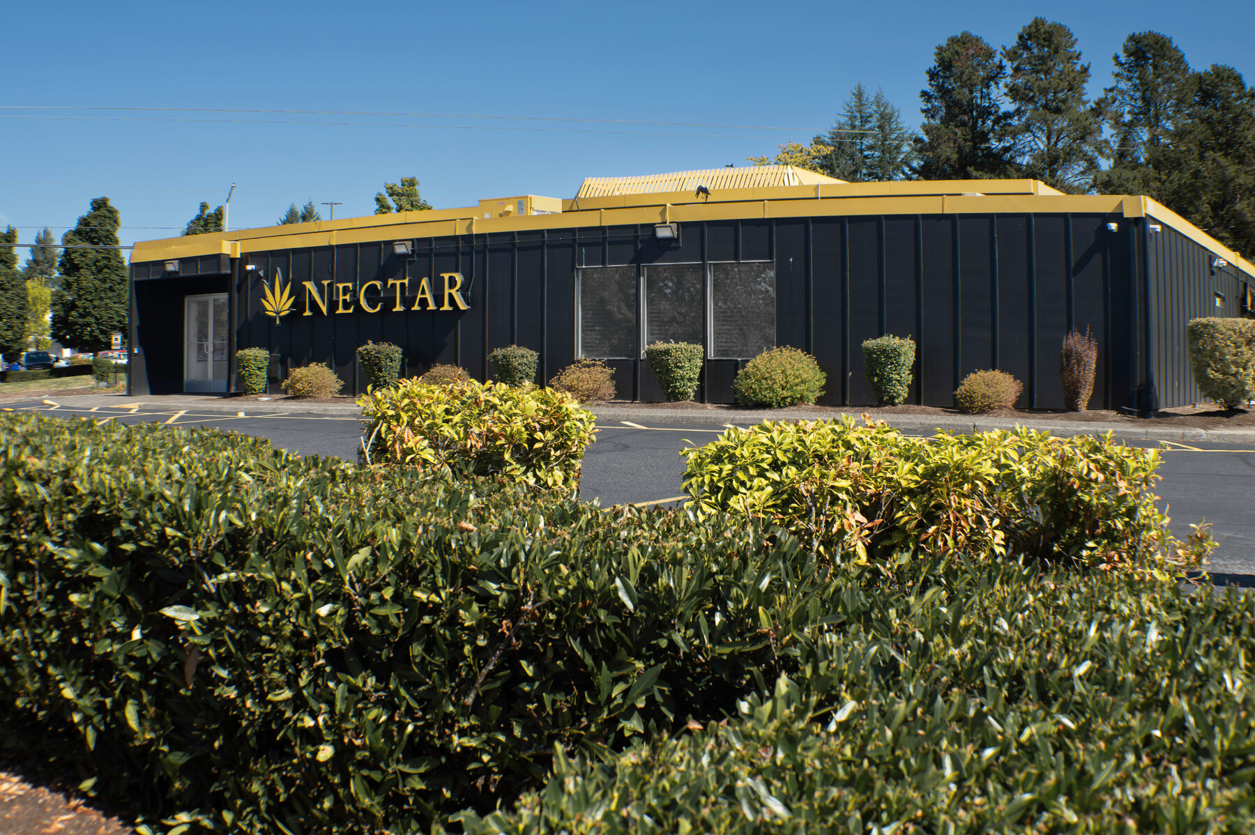 Gresham 3rd Cannabis Dispensary | Nectar