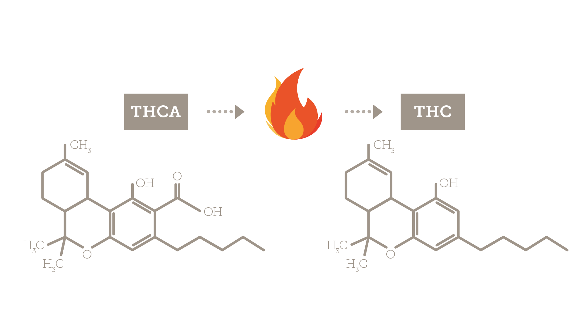 THCA: The Amazing Transforming Cannabinoid and #1 Maker of THC | Nectar