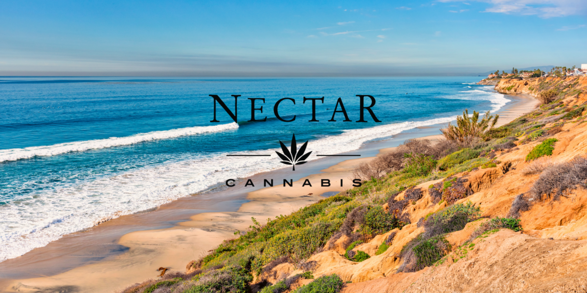 Sharing Cannabis: The 9 Important Stoner Rules of Etiquette | Nectar